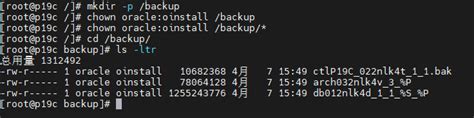 rman数据迁移 rman target导出 csdn博客