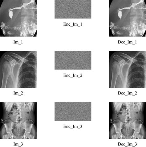 Three Sample Images With Their Corresponding Compressedencrypted And