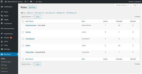 Step By Step Guide How To Add Custom User Roles On Your Wordpress