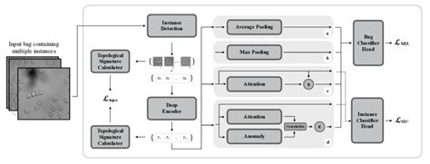 Overview Of Our Topologically Regularized Mil Framework A Pre Trained