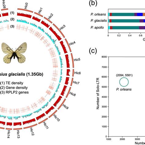 Genome Assembly And Tes Comparison A Circos Plot Of Genomic Features Download Scientific