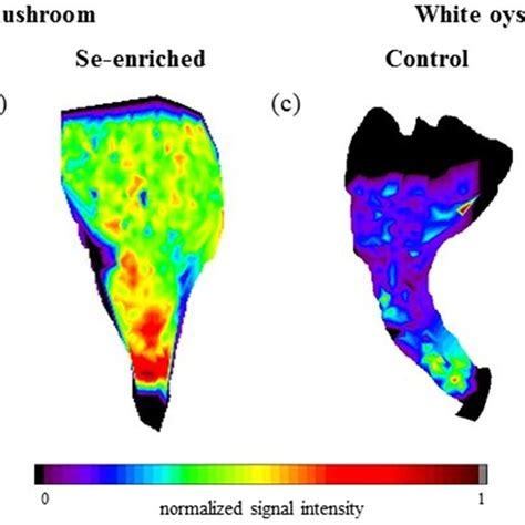 Elemental Distribution Map Of C In The Control A And Se Enriched B Download Scientific