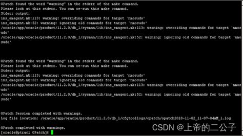 11g Rac Psu Cpu Ojvm补丁升级过程oracle11g最新补丁 Csdn博客