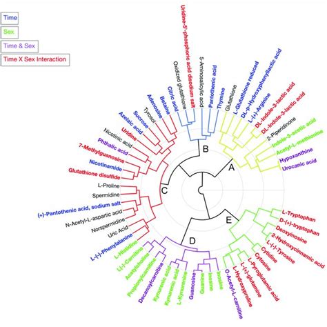 circular hierarchical cluster analysis hca dendrogram grouping