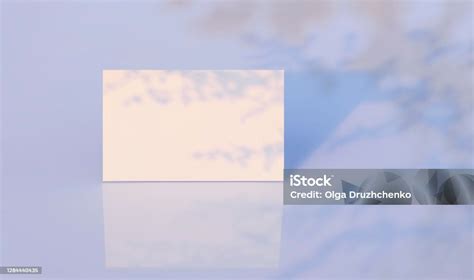 프리젠 테이션 또는 명함을위한 모형 포스터 전단지 현대적인 미니멀 한 스타일로 반사와 파란색 배경에 식물의 그림자흰색 종이 축하 공백 또는 초대 0명에 대한 스톡 사진 및