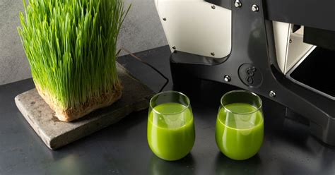 Wheatgrass Juice Recipe