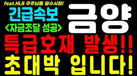 금양 주가전망 🔴자금조달 문제없다 초대박 특급호재 목빠지게 기다렸던 소식 축하드립니다 금양 금양주가전망