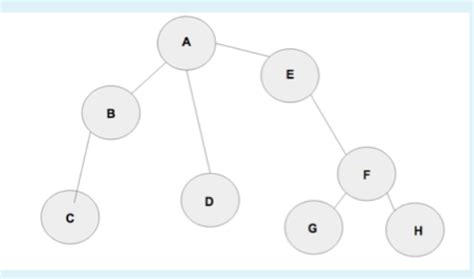 Describe The Search Space Breadth First Search Chegg Com