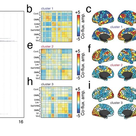 Replication Of Mouse Findings Using Human Mri Data A Hierarchical