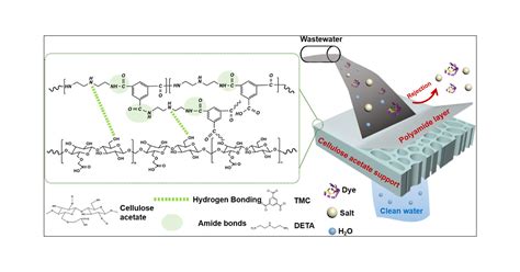 Cellulose Acetate Based Polyamide Nanofiltration Membranes By