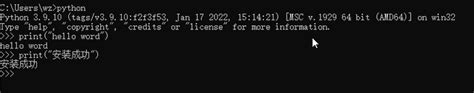 Python 保姆级win11环境安装pythonpython 11的安装教程 Csdn博客