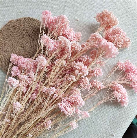 Preserved Pink Rice Flower Bunch，dried Flower Arrangement，vase Filler