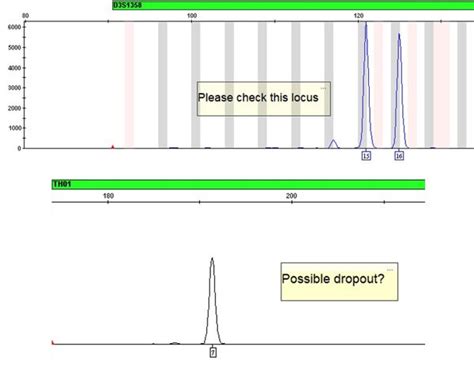 Genemapper Id X Forensic Data Analysis Software Thermo Fisher