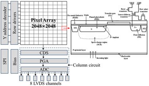 Effects Of Hot Pixels On Pixel Performance On Backside Illuminated Complementary Metal Oxide
