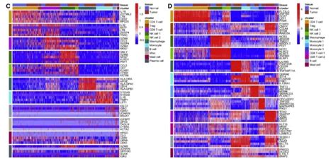 单细胞数据分析之蛋白活性推断篇 知乎
