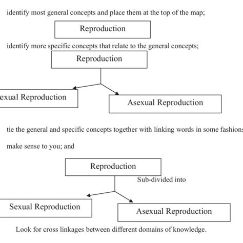 stages of constructing a concept maps download scientific diagram