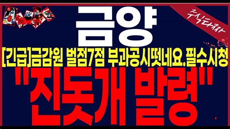금양 주가 전망 단독입수이대로 하셔야 합니다 벌점7점부과 관리종목지정금양 금양주가전망 금양주가 금양대응전략