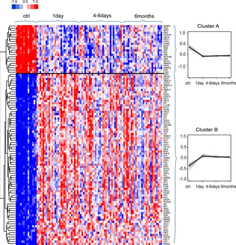 hierarchical clustering on standardized expression values of the top