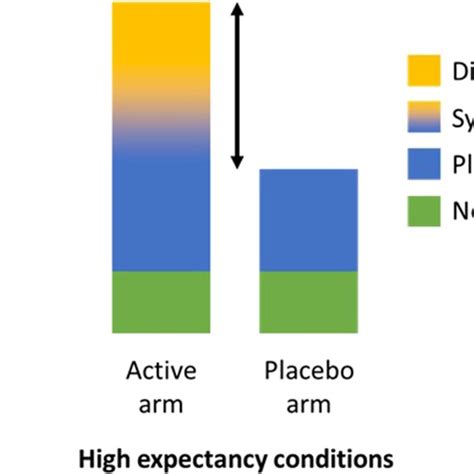 In This Figure We Speculate How Expectancy May Influence Results Of Download Scientific