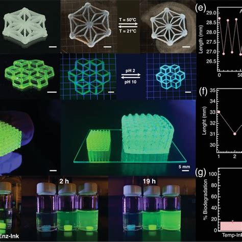 3d printed structures under the action of various stimuli a image of