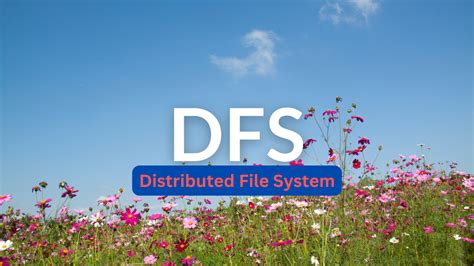 dfs distributed file system