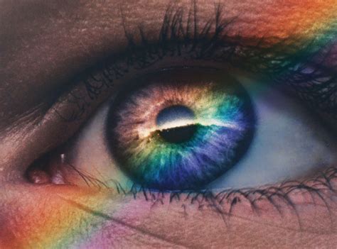 European Glaucoma Society