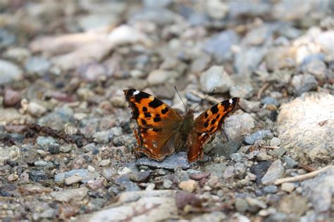 Биоразнообразие Наука за природата