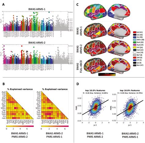 Beta Weights And Explained Variance Across Arms 1 And Arms 2 For Download Scientific Diagram