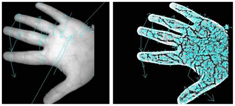 feature extraction before preprocessing left and after preprocessing