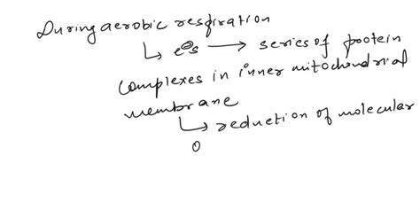 Solved Which Molecule Is The Final Electron Acceptor In The Electron Transport Chain Of Aerobic