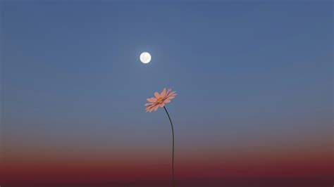 Безкоштовне стокове фото абстрактний барвистий барвистий фон барвисті ліхтарі блискучий