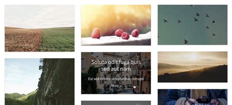 Masonry Grid On Content Archives With Title And Excerpt On Hover In