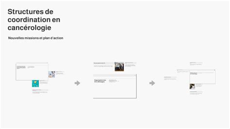 Structures De Coordination En Cancérologie By Mathilde Ferreira On Prezi