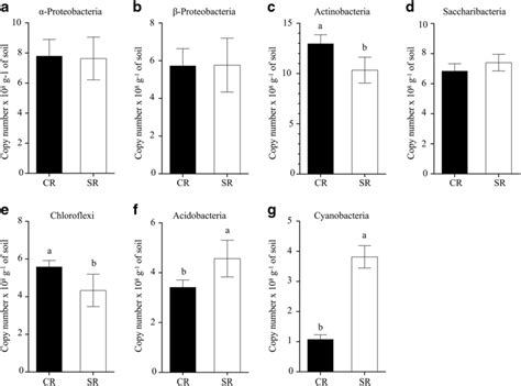 Quantification Of Genes Involved In Major Bacterial Communities Under Download Scientific