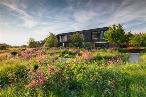 Cambridgeshire Garden A Modern English Country Garden