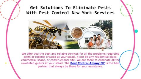 Ppt Pest Control New York Powerpoint Presentation Free Download Id