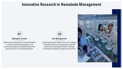 Exploring Nematicidal Activity Effective Solutions For Nematode Control Ppt Template St Ai Ppt