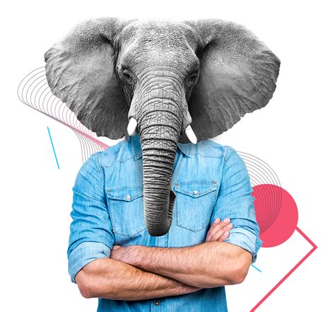 Molinksms Sms Otp โปรแกรมและโค้ดสำเร็จรูปพร้อมใช้