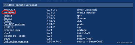 dosbox配置与masm汇编开发环境搭建 csdn博客