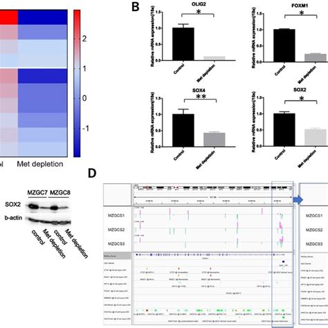 A Microarray Results Of Top 10 Master Maintenance And Marker Genes