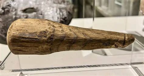 Phallic Wooden Object Found At Roman Fort Likely A Sex Toy