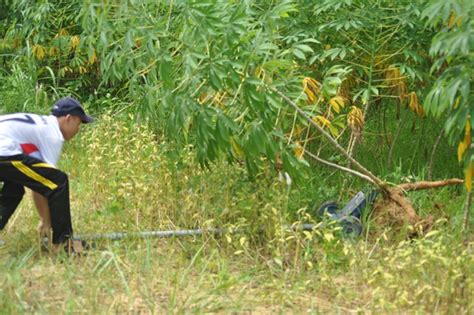 Tool Eases Cassava Uprooting