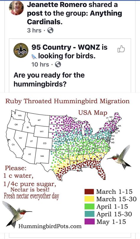 Map Of When Hummers Return Usa Map Map Hummingbird Migration