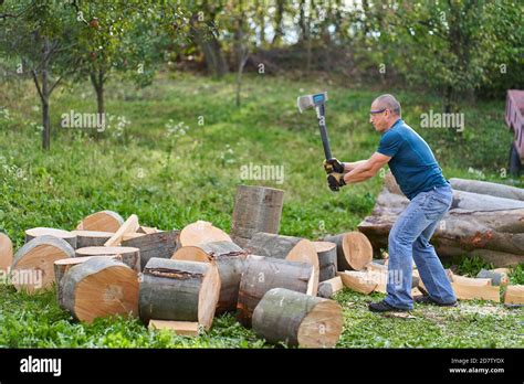 Farmer With Big Axe Splitting Beech Logs Stock Photo Alamy