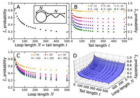 Statistical Properties Of Lasso Shape Polymers And Their Implications