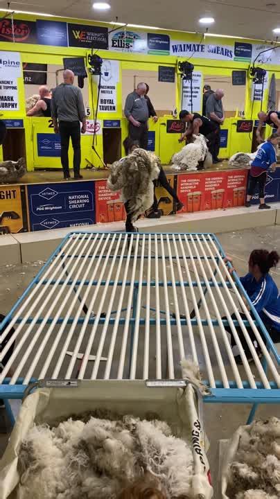 I Popped Down South To Experience The Waimate Shears And Part Of The Duncan Stirling