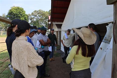 Strategies To Enhance National Greenhouse Gas Inventories