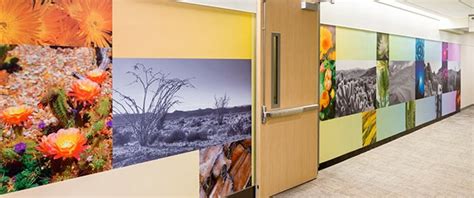 Proton Beam Therapy Program Proton Therapy Facilities Mayo Clinic