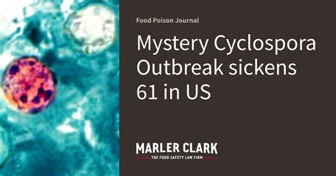 Mystery Cyclospora Outbreak Sickens 61 In Us Food Poison Journal