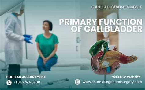 Gallbladder Surgeons Types Of Surgery And Risks Southlake General